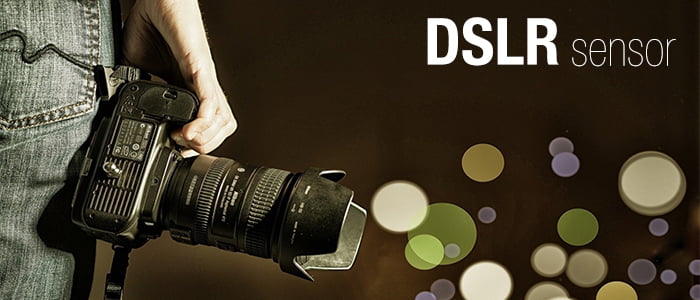 Mengenal Lebih Dalam Tentang Sensor Pada Kamera DLSR – Dealharga.com